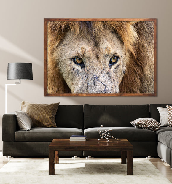 Focused – African Artwork SA