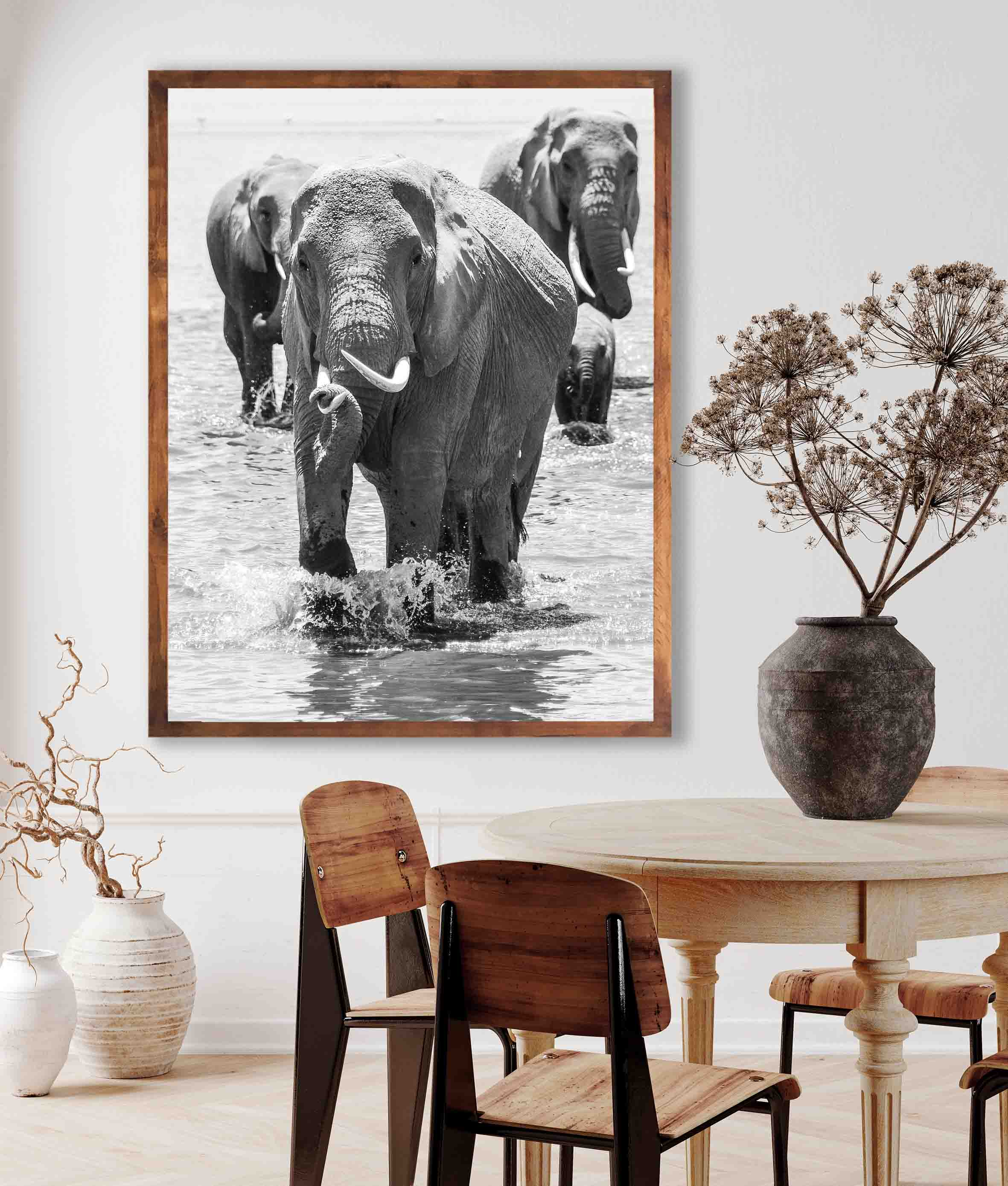 Picha – African Artwork SA