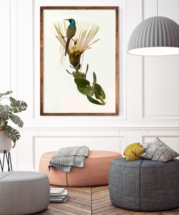 Sunbird – African Artwork SA